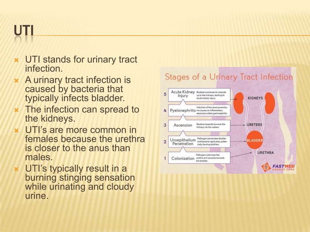 Chapter 9 urinary system abbreviations | PPT