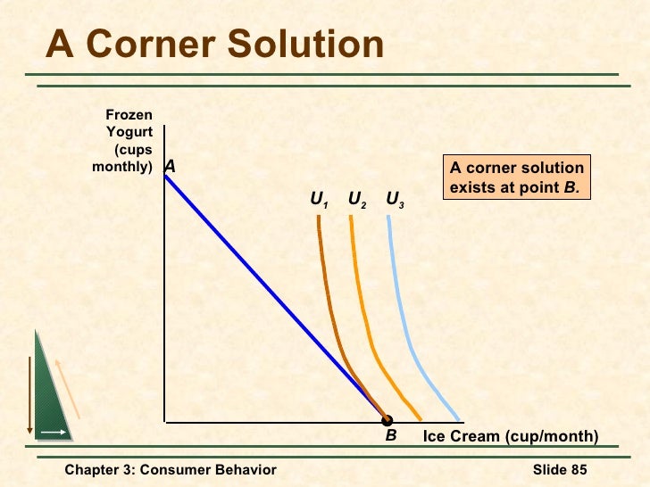 Chapter 3 Consumer Behaviour