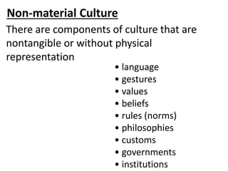 Material Culture Examples Sociology