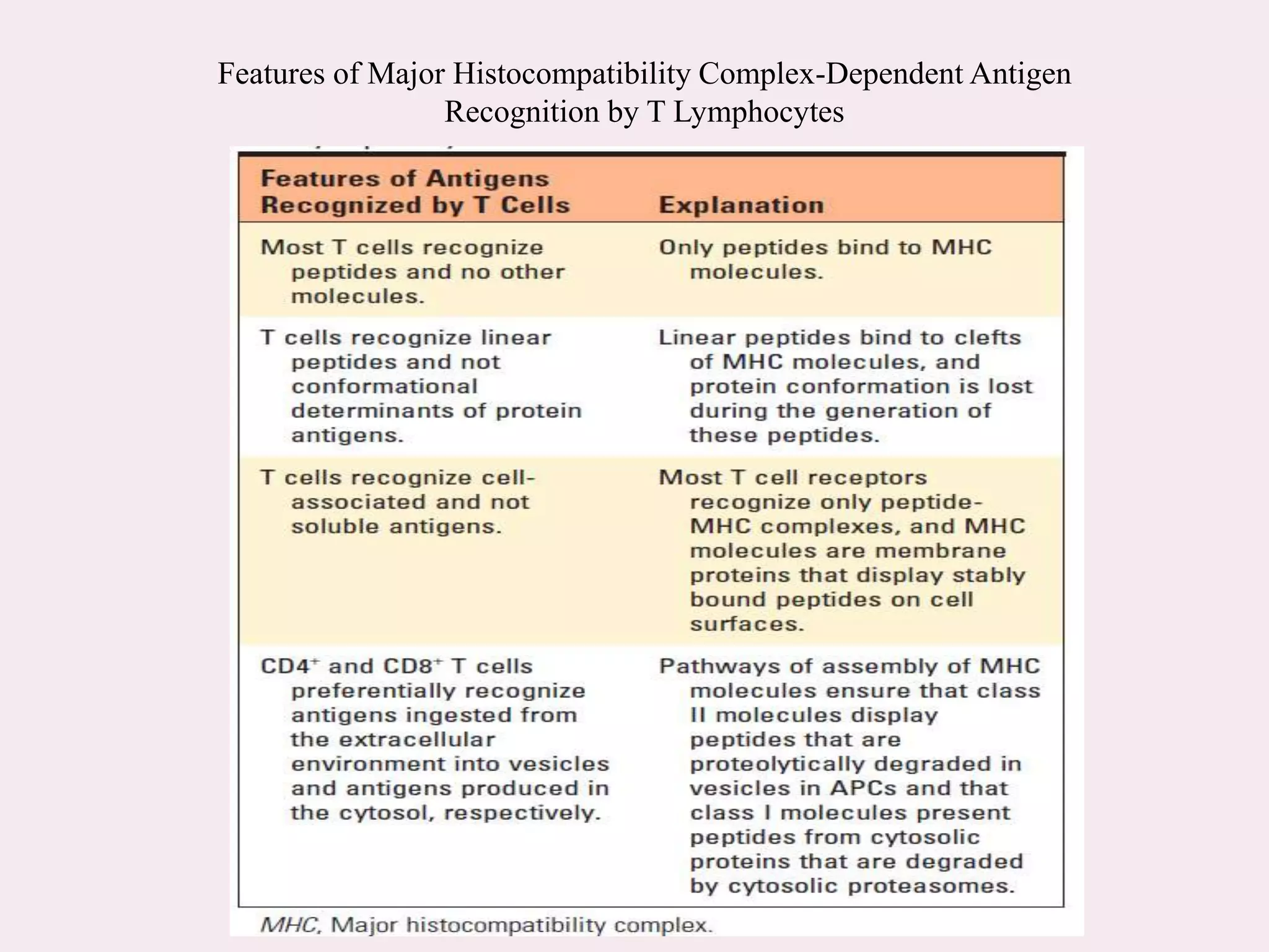 Major Histocompatibility Complex | PPT