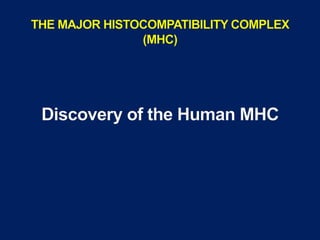 Major Histocompatibility Complex | PPT
