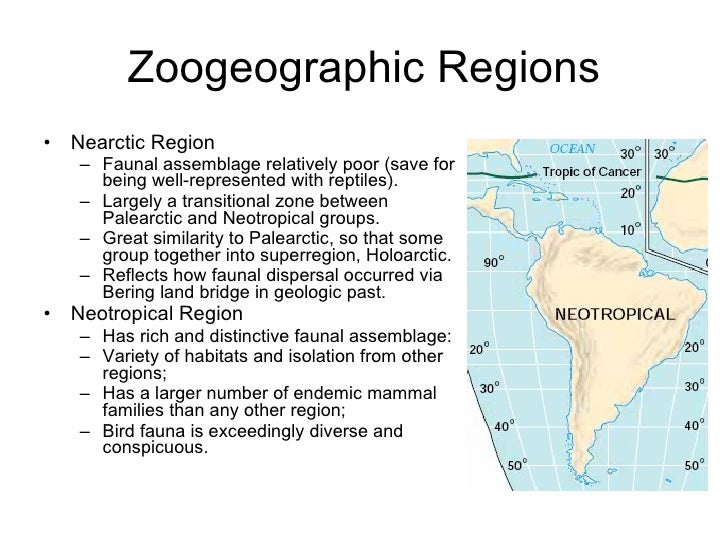 Nearctic realm - Alchetron, The Free Social Encyclopedia