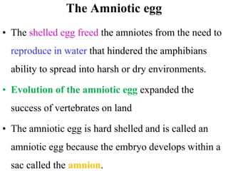 Chapter five Aminots.ppt