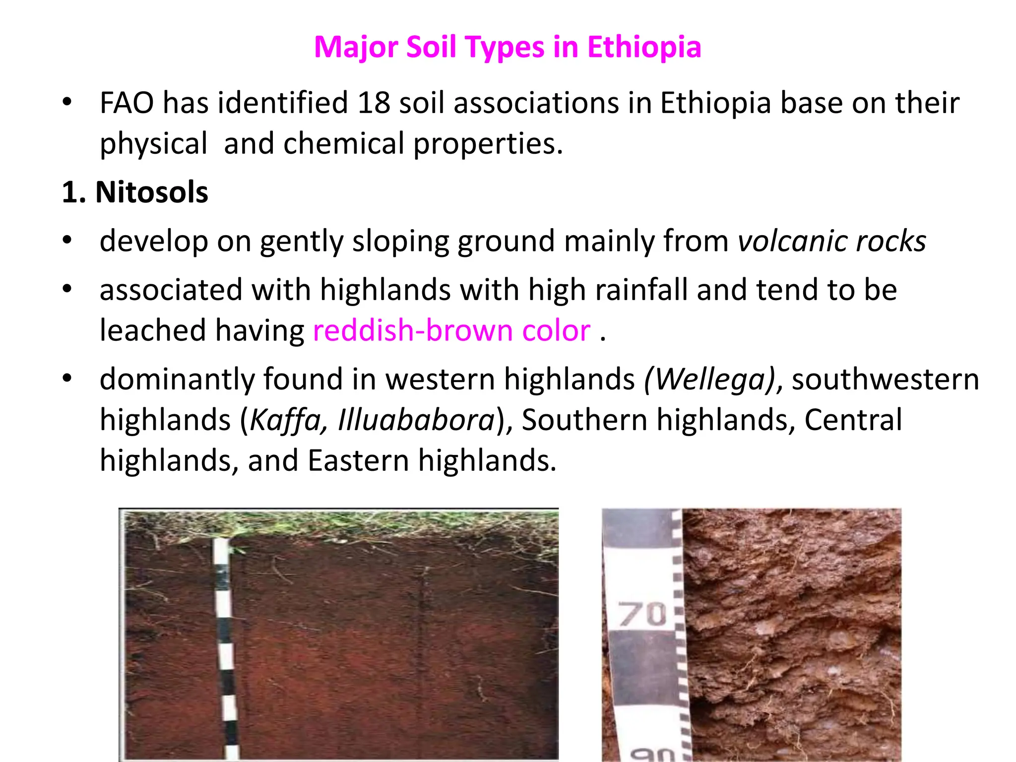 Geography of Ethiopia and the Horn: Chapter Five and Six.pptx