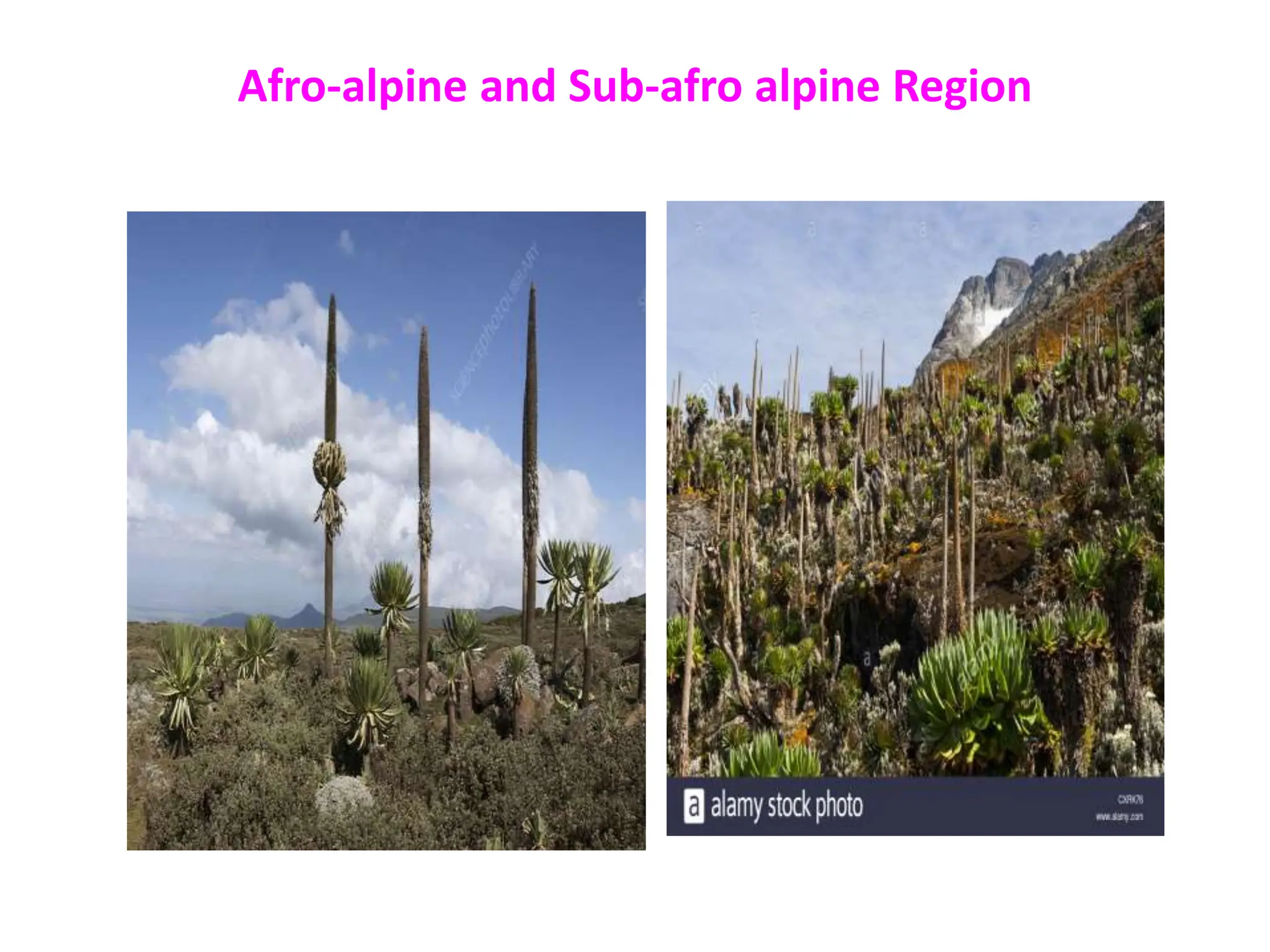 Geography of Ethiopia and the Horn: Chapter Five and Six.pptx