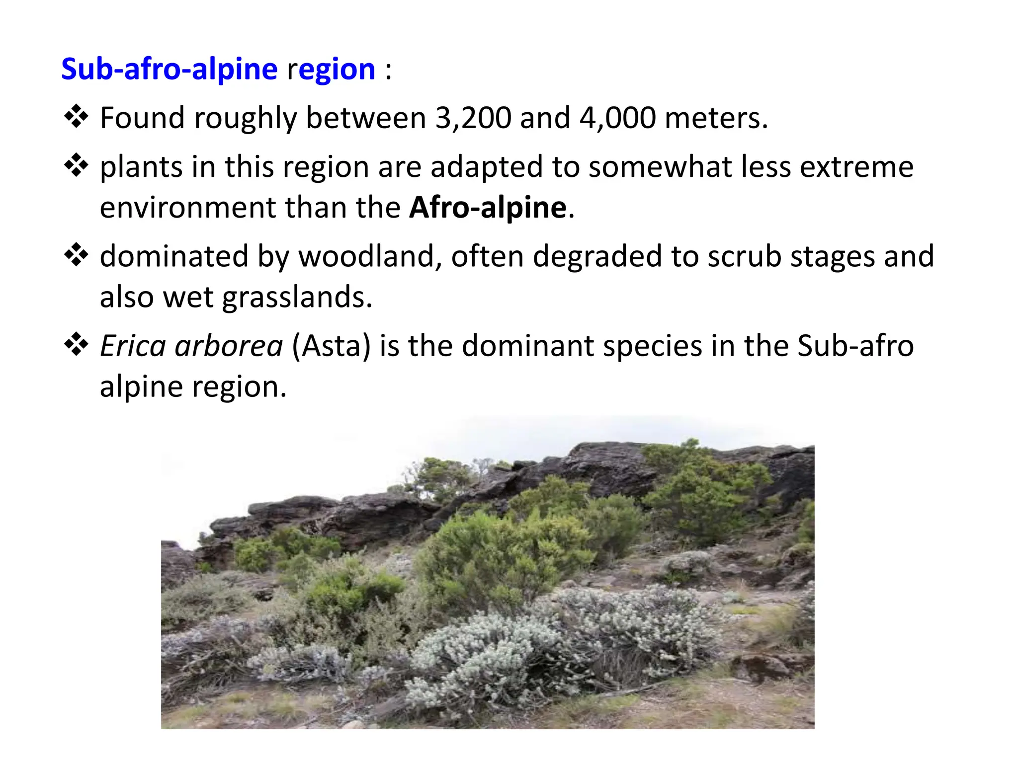 Geography of Ethiopia and the Horn: Chapter Five and Six.pptx