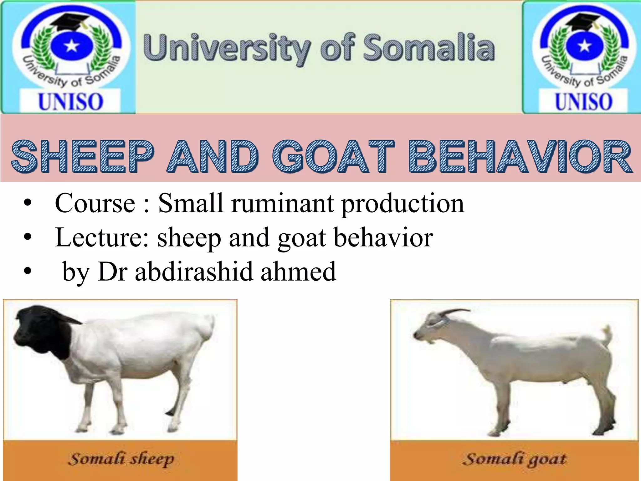 unit sheep and goat behavior | PPTX