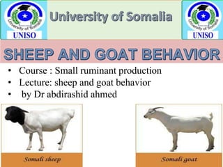 unit sheep and goat behavior | PPTX