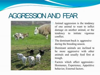 unit sheep and goat behavior | PPTX