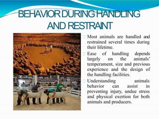 unit sheep and goat behavior | PPTX