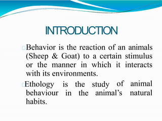 unit sheep and goat behavior | PPTX