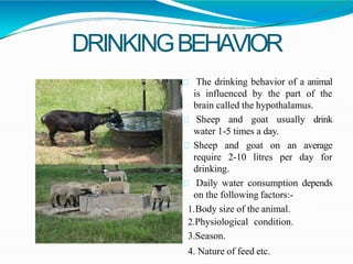 unit sheep and goat behavior | PPTX
