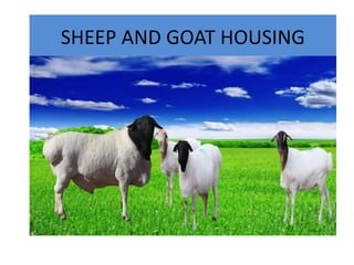unit 4 sheep and goat housing | PPTX