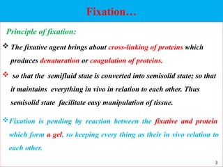 Chapter four histopathology.pptx