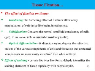 Chapter four histopathology.pptx