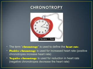 Chapter i CARDIAC EXCITATION | PPT