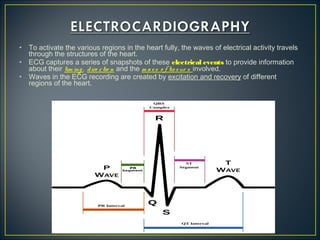 Chapter i CARDIAC EXCITATION | PPT