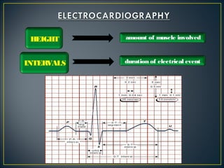 Chapter i CARDIAC EXCITATION | PPT