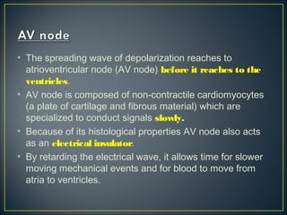 Chapter i CARDIAC EXCITATION | PPT