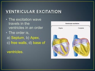 Chapter i CARDIAC EXCITATION | PPT