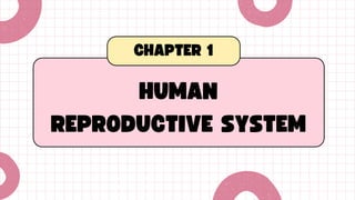 CHAPTER I_,HUMAN REPRODUCTIVE SYSTEM.pdf