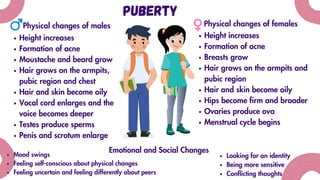 CHAPTER I_,HUMAN REPRODUCTIVE SYSTEM.pdf