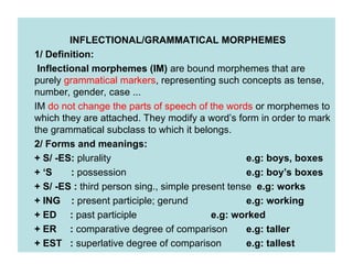 Chapter II.ppt grammar corrected in english morpho syntax | PPT