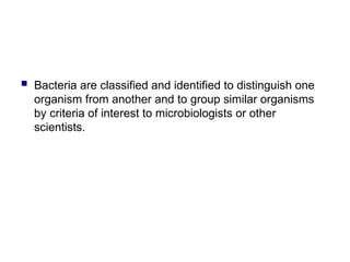 Chapter II Classification of bacteria.ppt