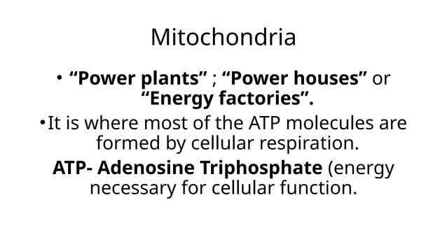 Chapter III Cell Structure and Taxonomy.pptx