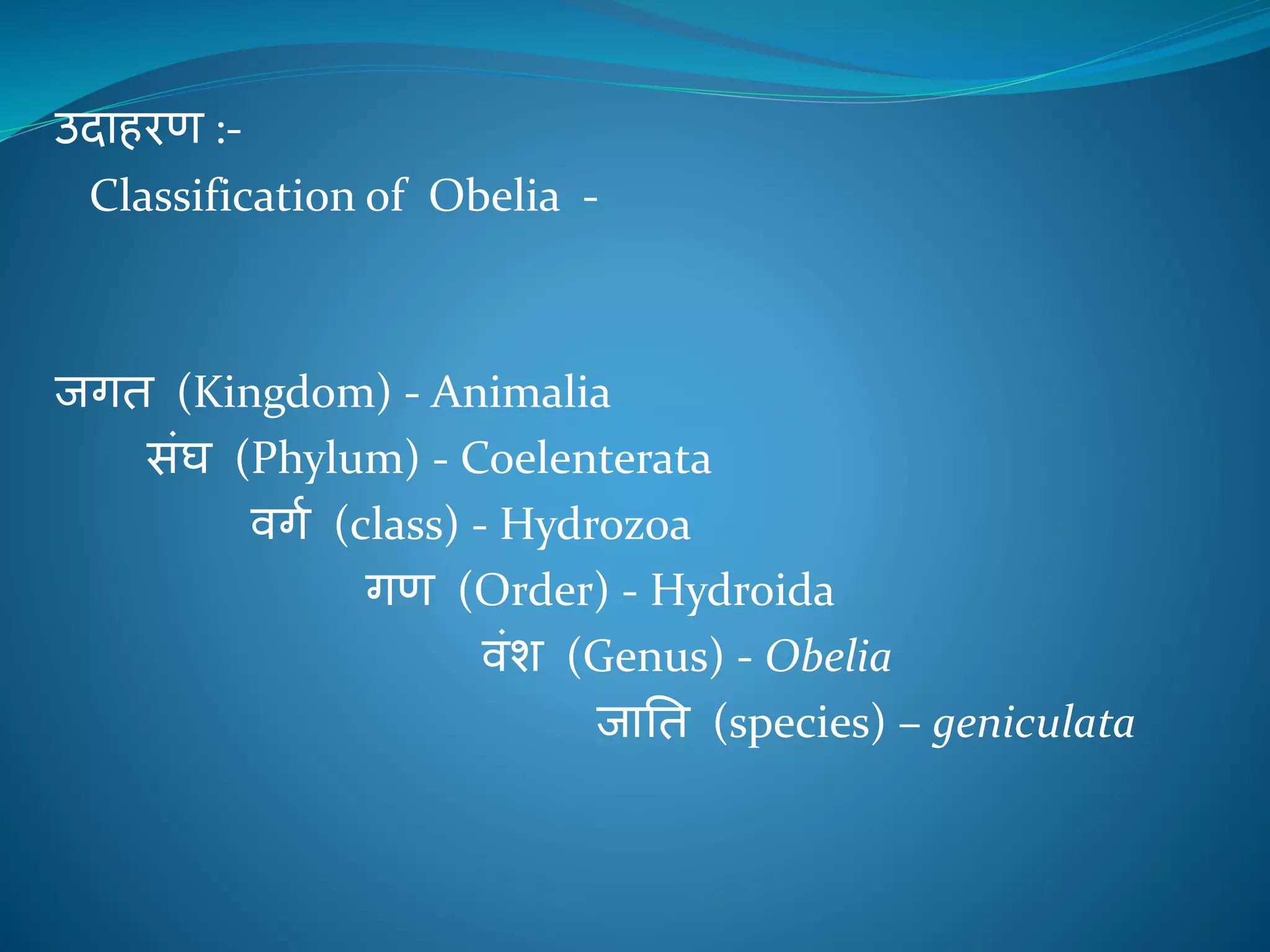 Chapter i introduction to animal kingdom | PPTX