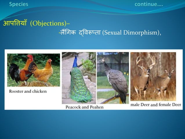 Chapter i introduction to animal kingdom | PPT