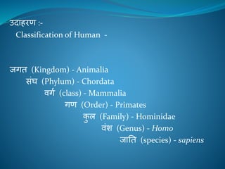 Chapter i introduction to animal kingdom | PPT