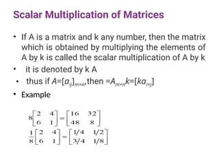 Comprehensive Introduction to Matrix Algebra: Types, Operations, and ...