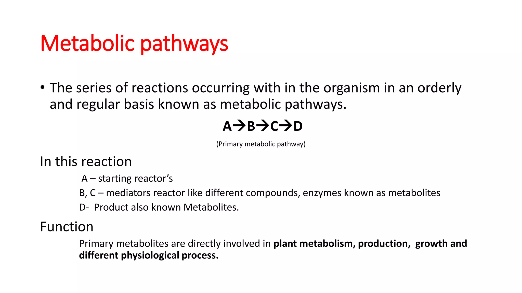 Basic metabolic pathways in higher plants | PPTX