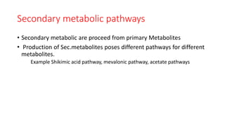 Basic metabolic pathways in higher plants | PPTX