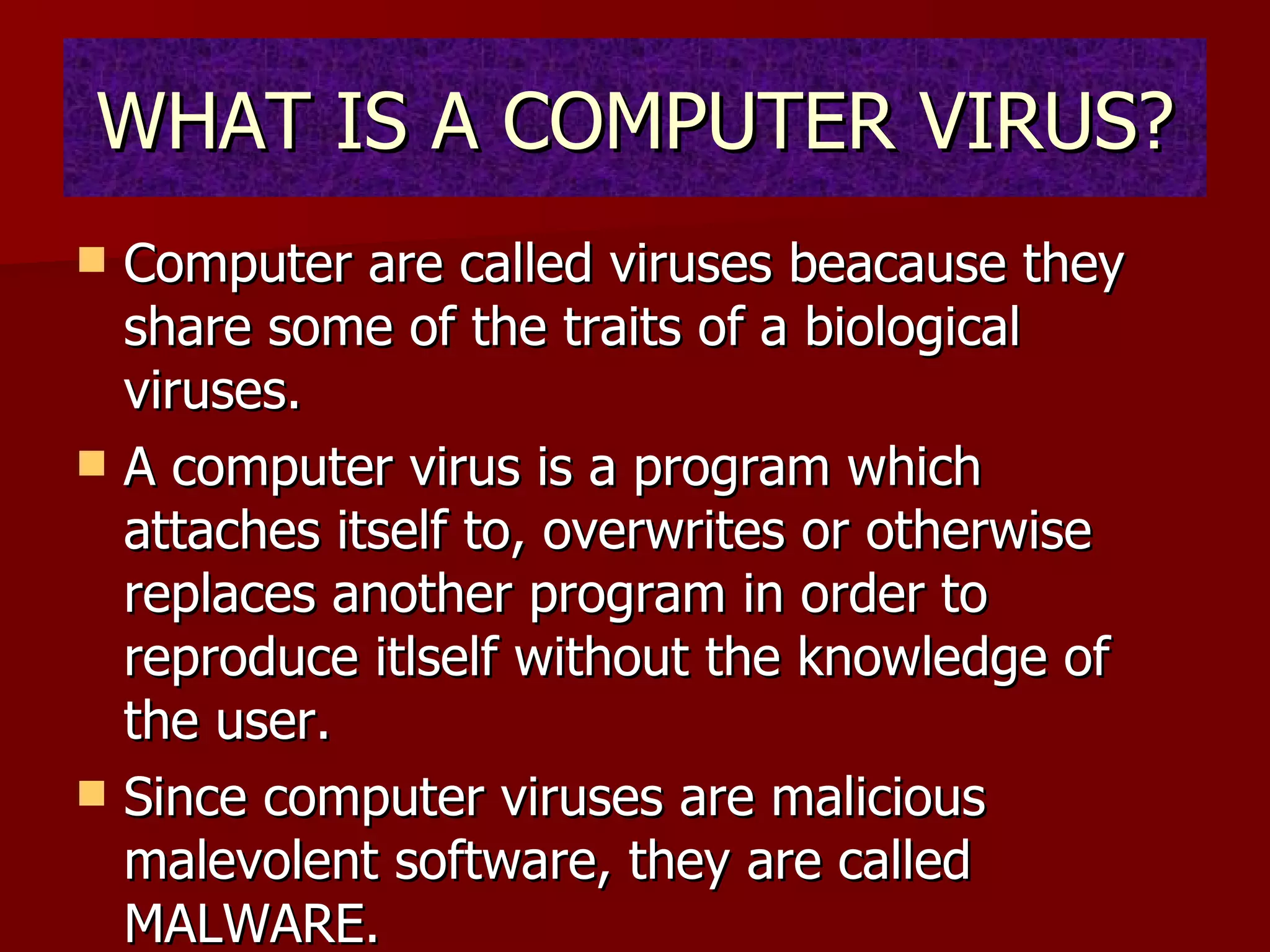 Chapter iv computer virus | PPT