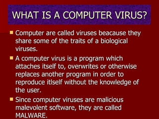 Chapter iv computer virus | PPT
