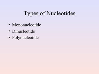 Chapter no. 02, nucleic acid | PPT