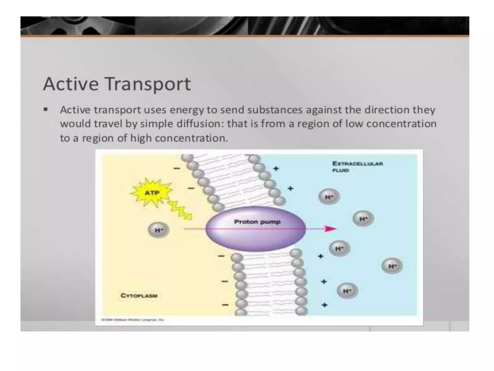 Passage of molecules into and out of cell | PPTX