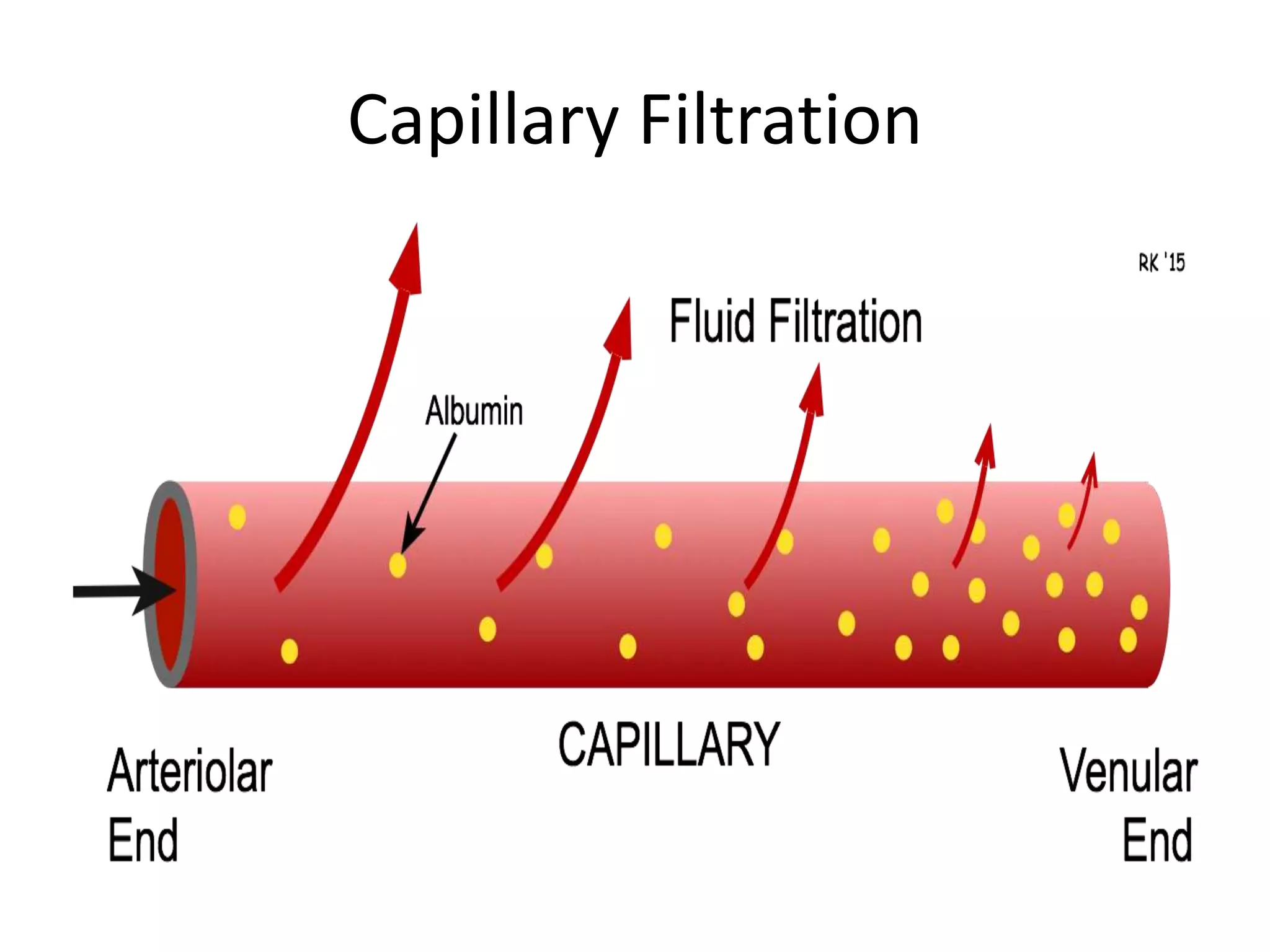 Passage of molecules into and out of cell | PPTX