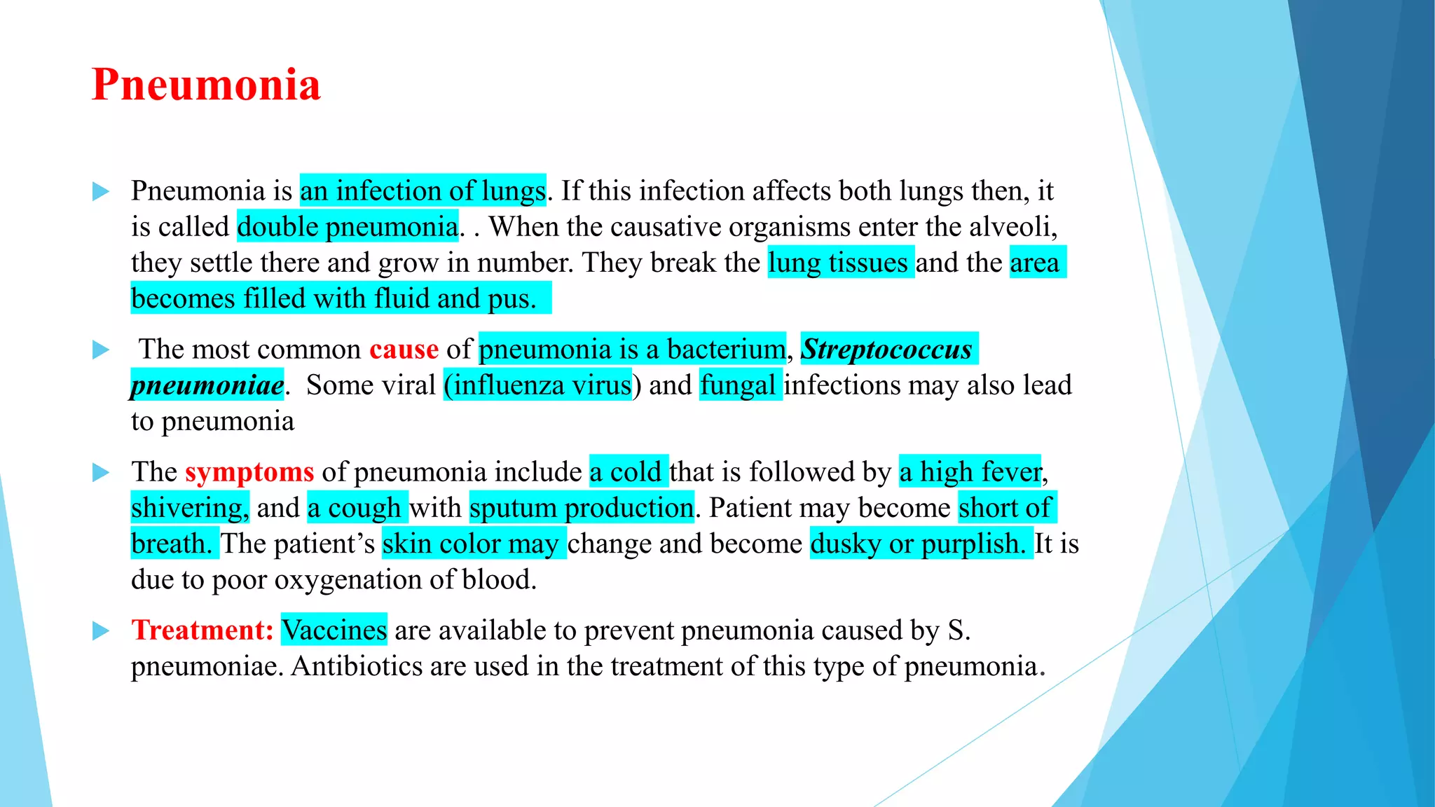 Gaseous Exchange | PPTX