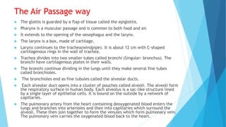 Gaseous Exchange | PPTX