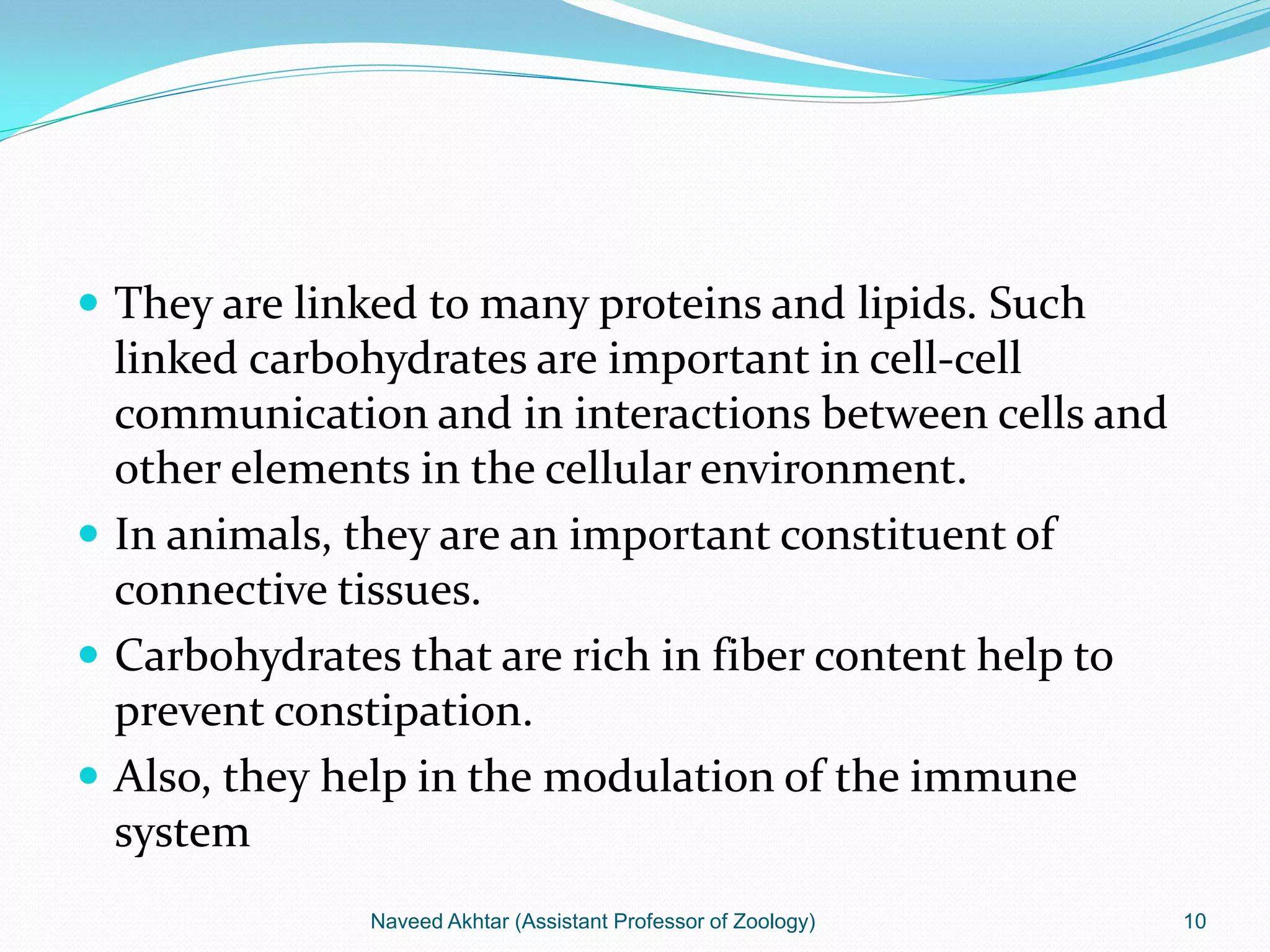 Biological Molecules | PDF