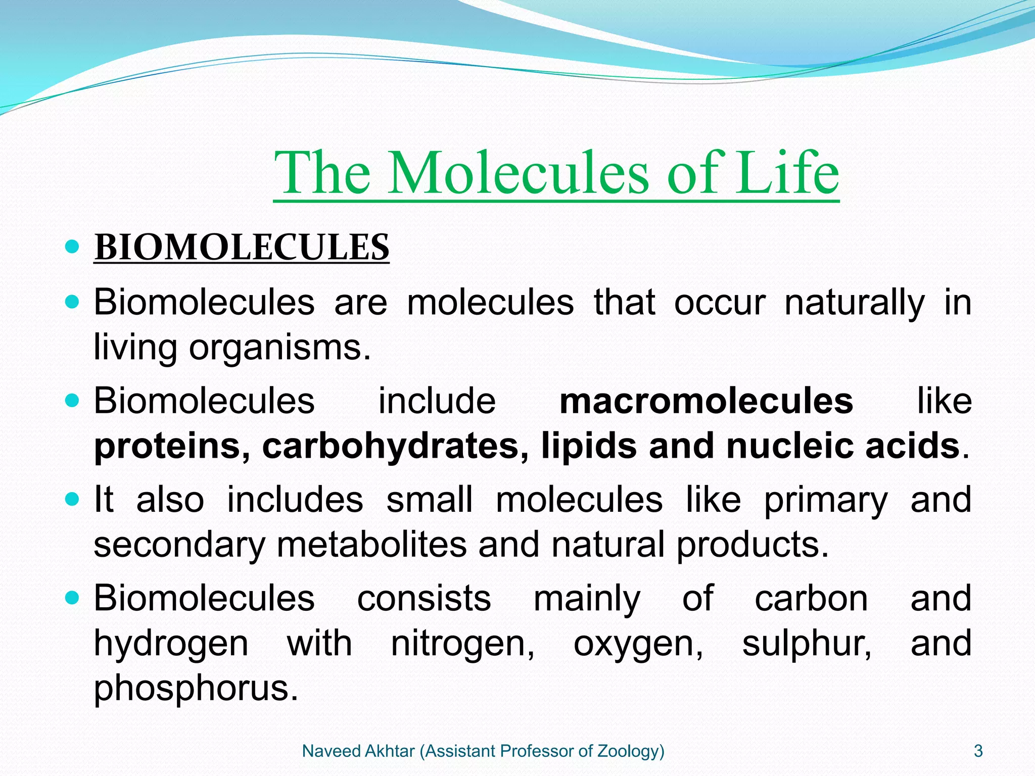 Biological Molecules | PDF