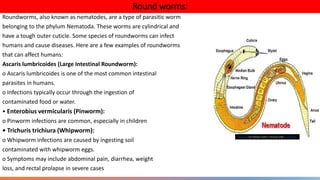 Diseases-Cause and Prevention Chp-5 General Science 9th 10th | PPT