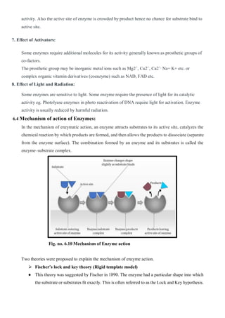 CHAPTER NO 6 Enzyme Biochemistry and Clinical Pathology | PDF
