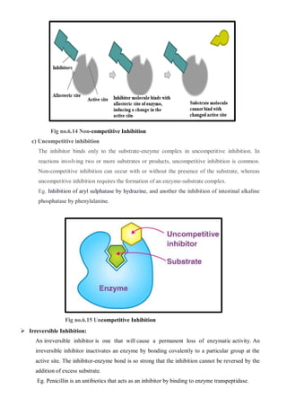 CHAPTER NO 6 Enzyme Biochemistry and Clinical Pathology | PDF
