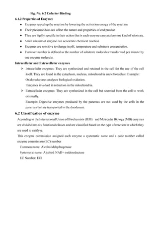 CHAPTER NO 6 Enzyme Biochemistry and Clinical Pathology | PDF