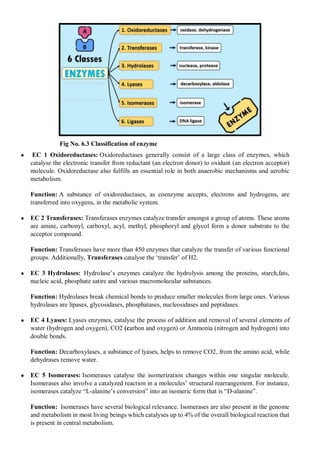 CHAPTER NO 6 Enzyme Biochemistry and Clinical Pathology | PDF