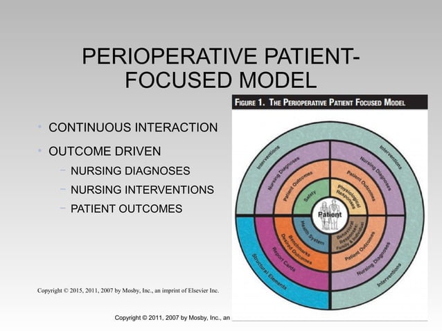 Chapter One Concepts Basic to perioperative nursing | PPT | Healthcare ...